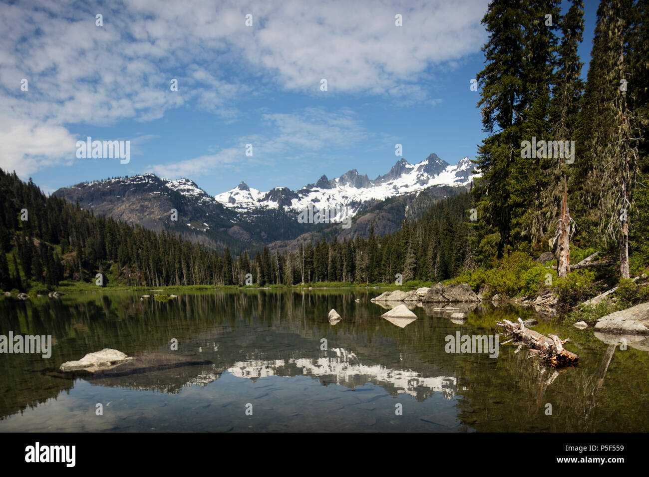 Washington cascade hi-res stock photography and images - Alamy