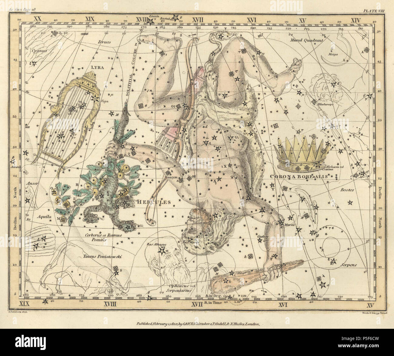 N/A. Plate 8 from A celestial atlas comprising a systematic display of ...