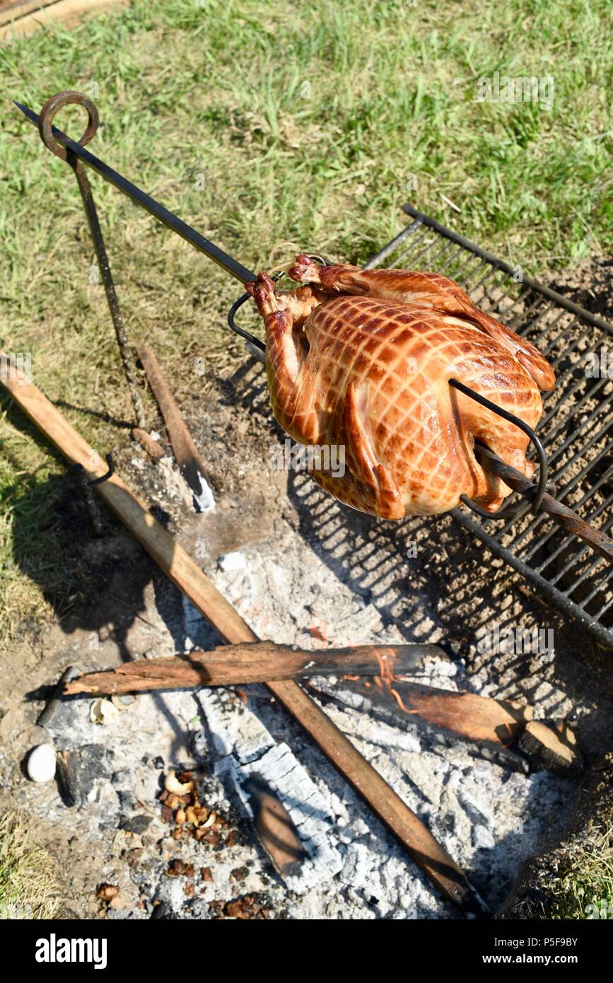 Slow cooking chicken over a campfire in the outdoors during the middle ...