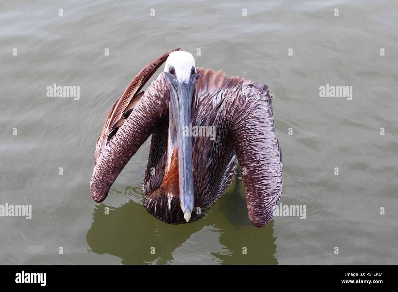 Splashdown High Resolution Stock Photography and Images - Alamy