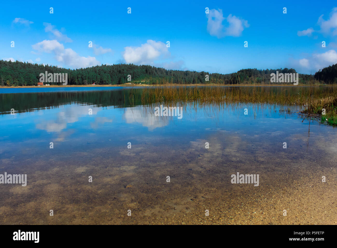 Abant nature park hi-res stock photography and images - Alamy
