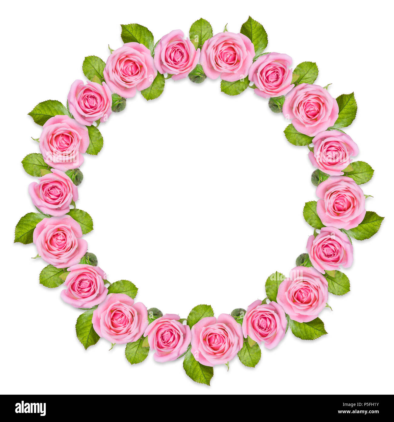 Rond frame Wreath made of pink roses isolated on white background ...