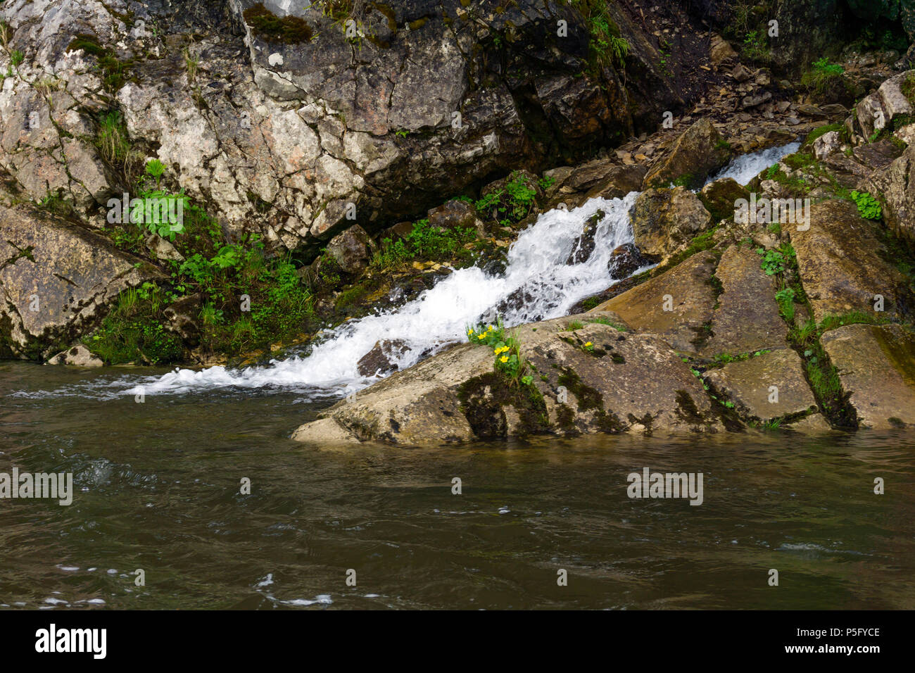 The spring follows a waterfall from the rock and flows into the river ...