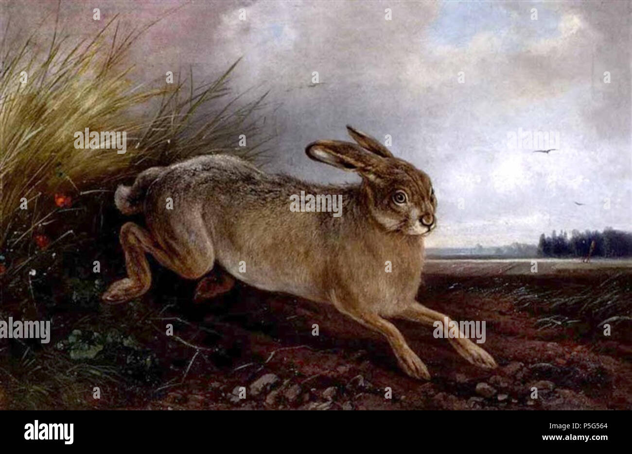 Schleich hi-res stock photography and images - Alamy