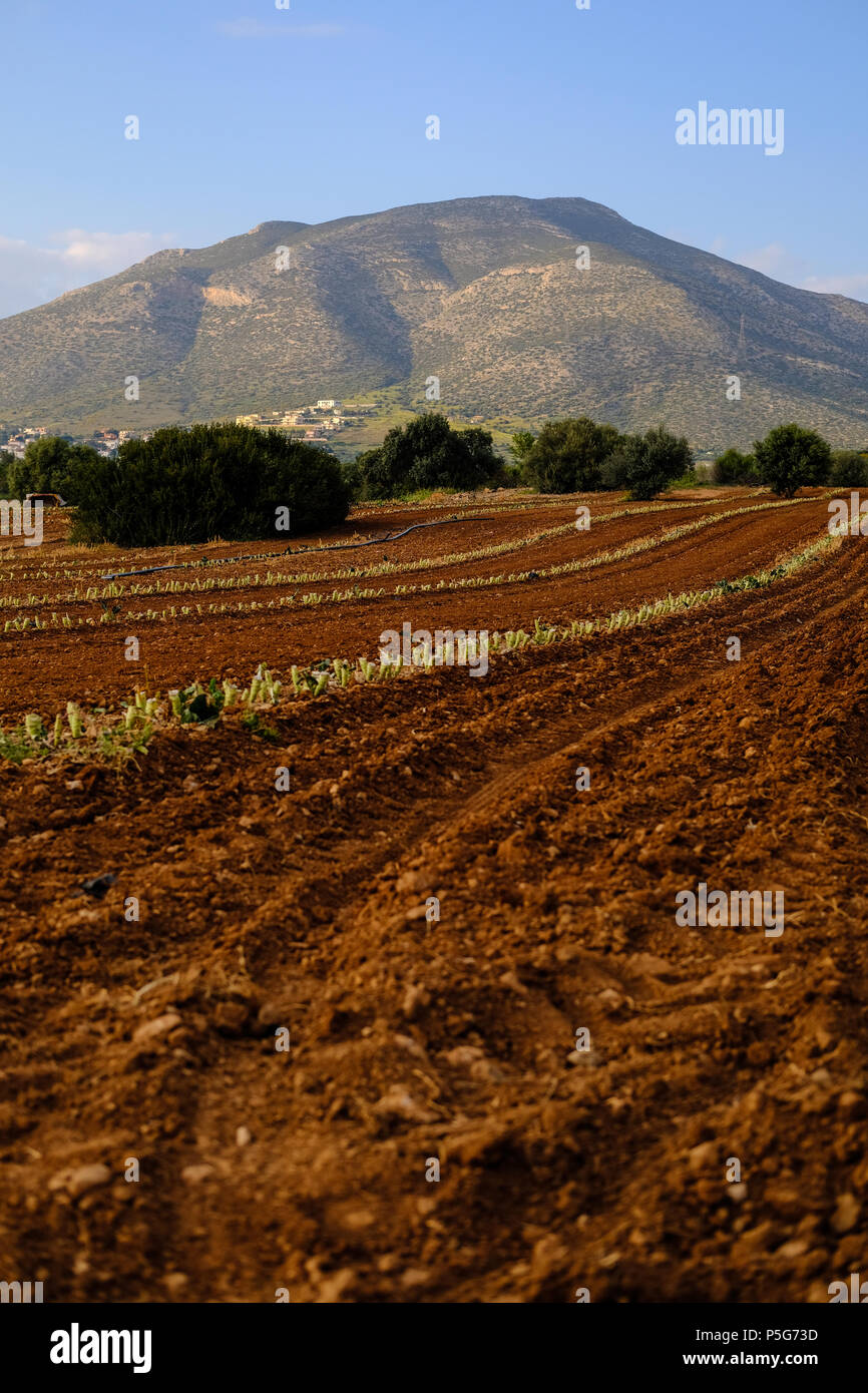 Crops mountains hi-res stock photography and images - Alamy