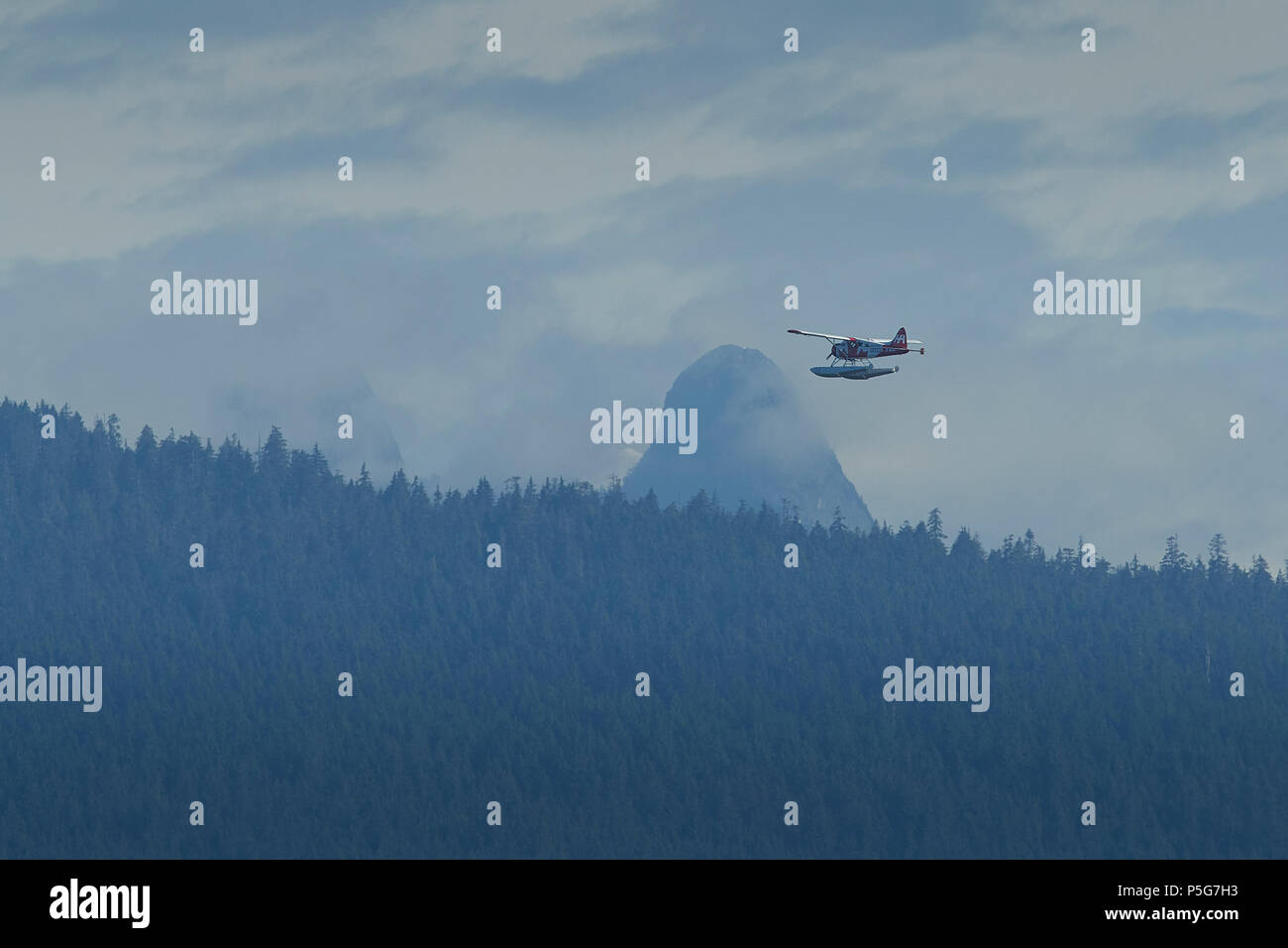 Classic Harbour Air Seaplanes de Havilland Canada DHC-2 Beaver ...
