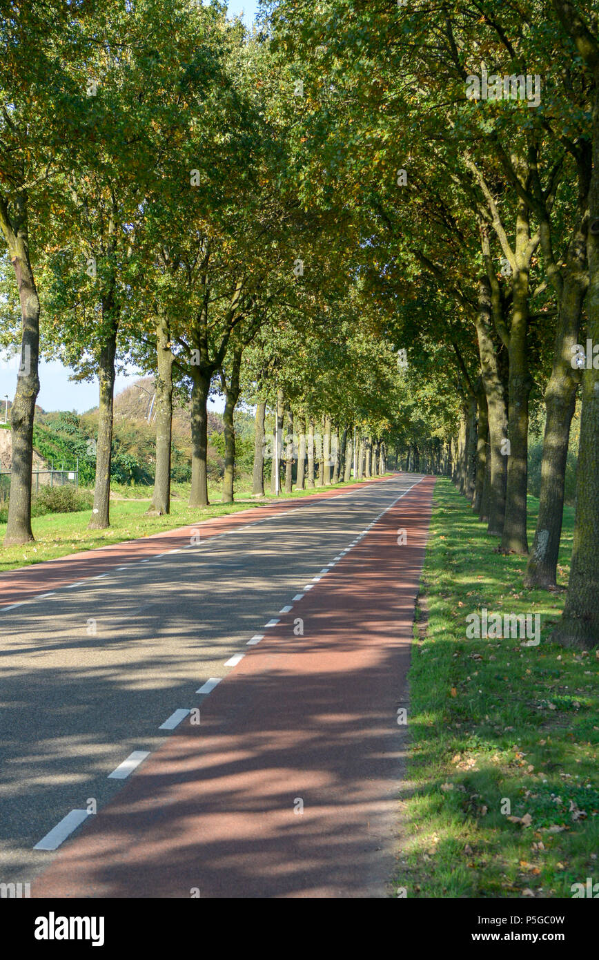 Dutch road between small villages with bicycle paths, transportation in ...
