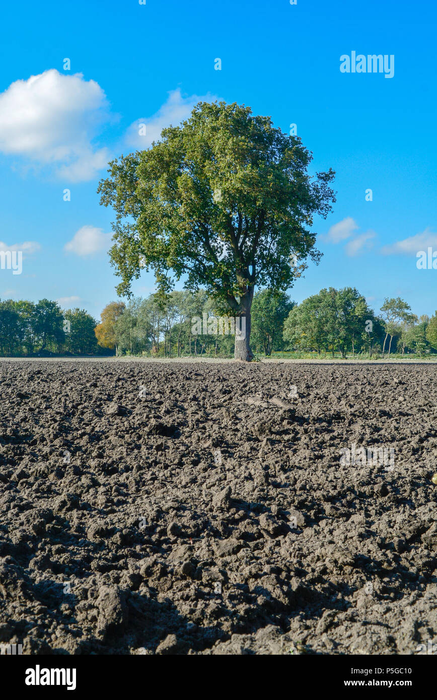 Farming, country style landscape with freshly plowed field ...