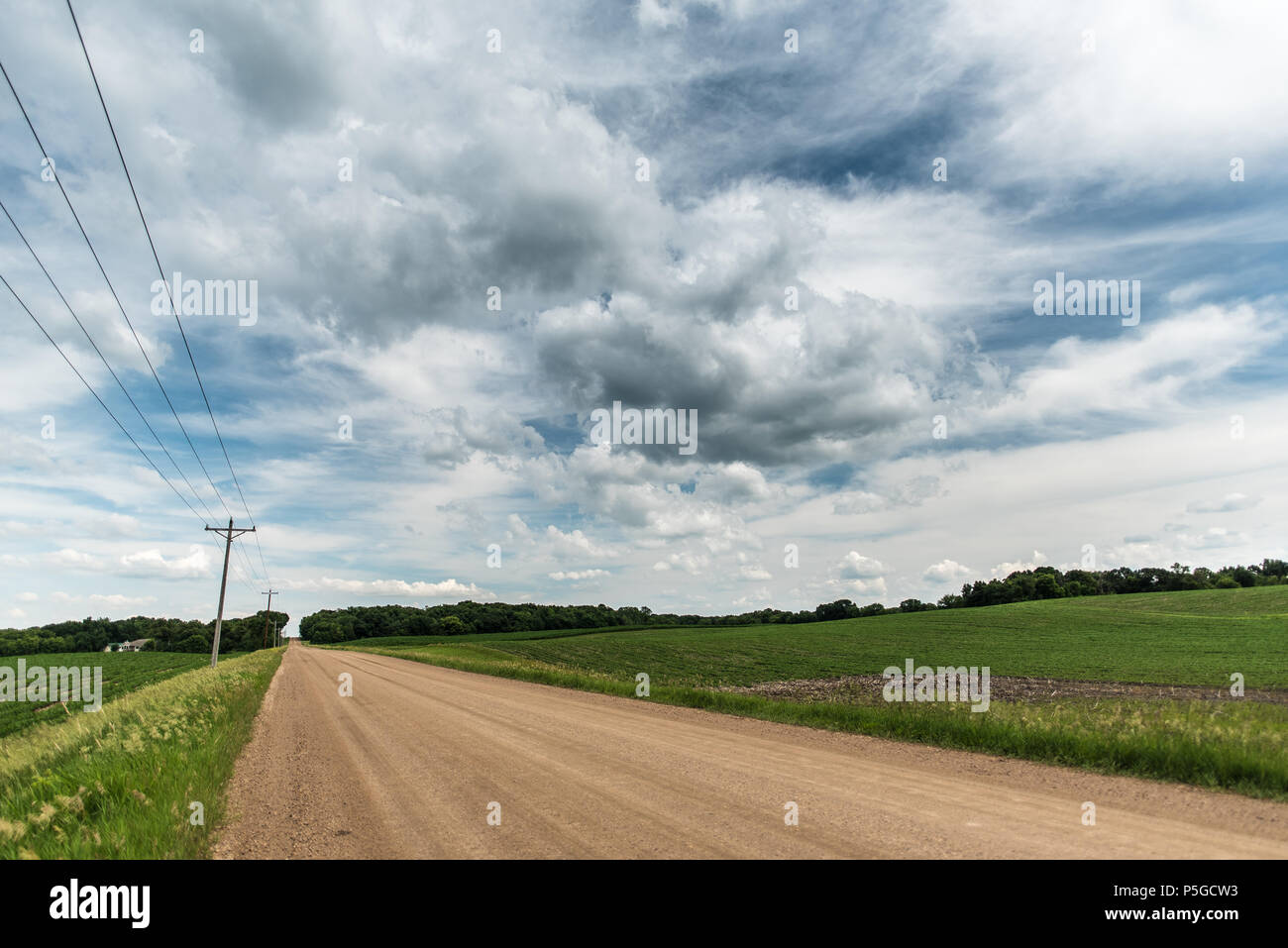 Gravel road running between soybean fields in rural Minnesota, June ...