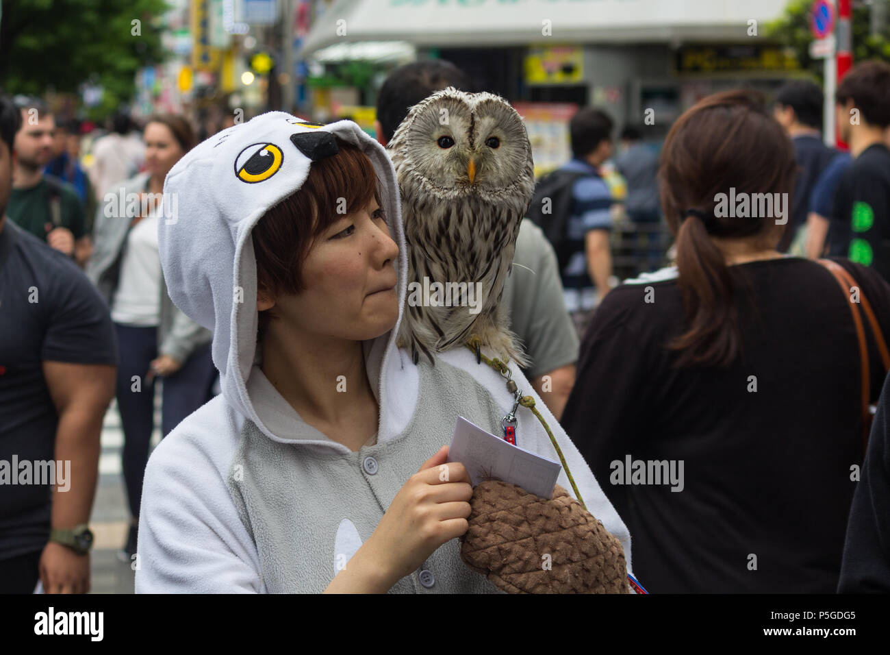 Owl Costume Women