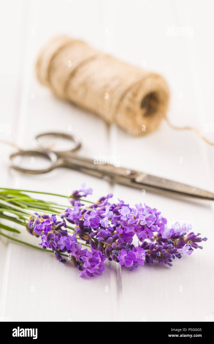 Lavender thread hi-res stock photography and images - Alamy