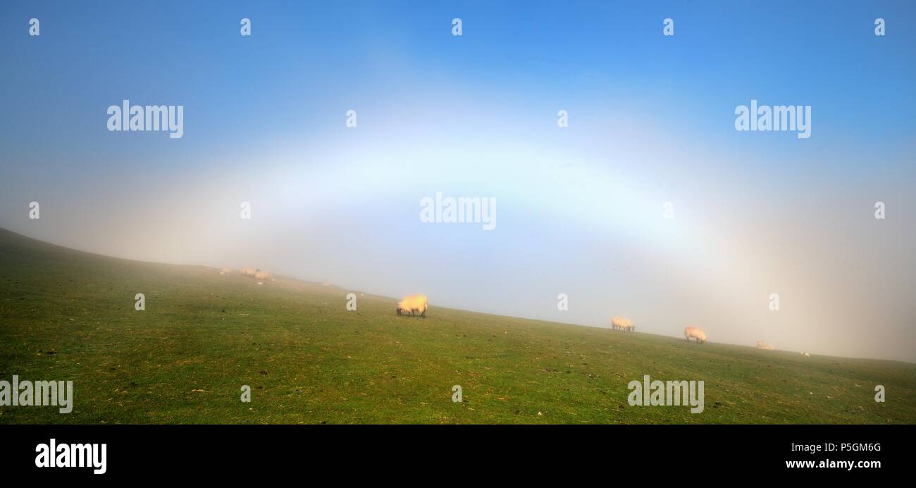 Fogbow cloud uk hi-res stock photography and images - Alamy