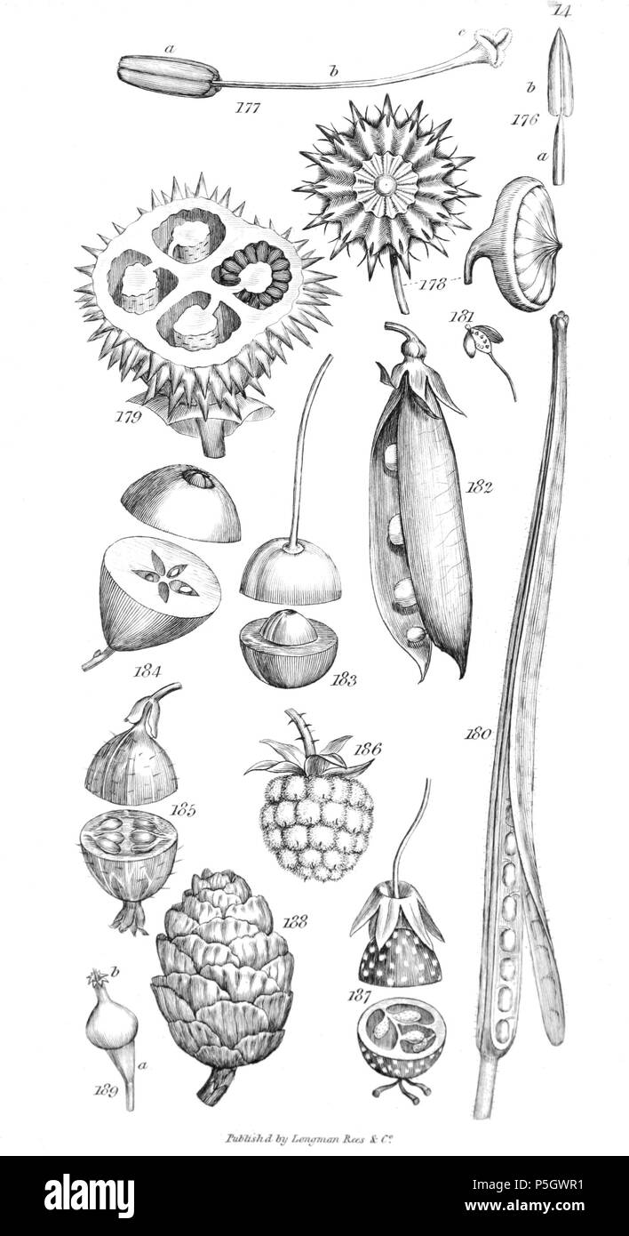 Botany books Black and White Stock Photos & Images - Alamy