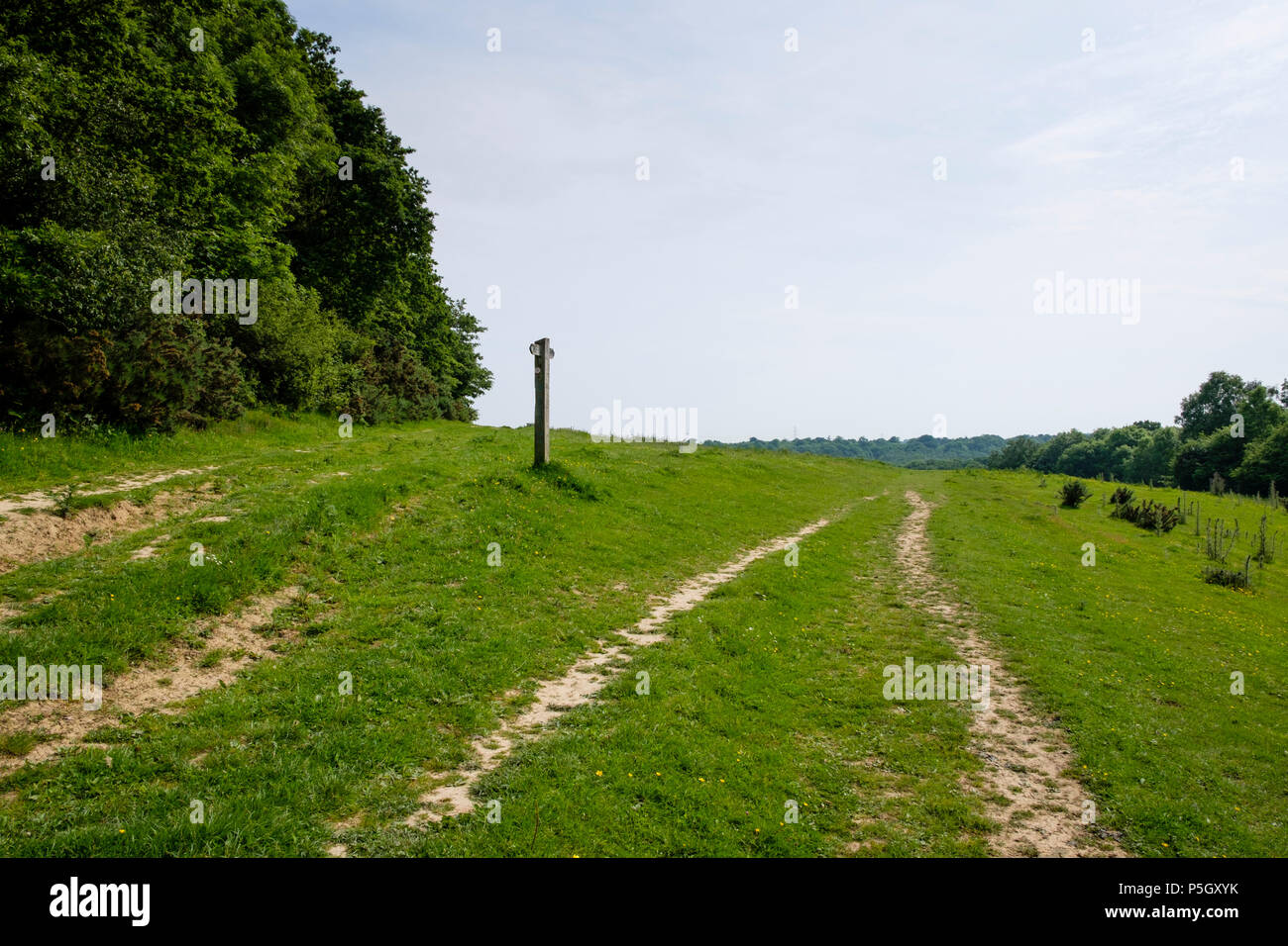 The route of the historic 1066 Country Walk near Battle in East Sussex ...