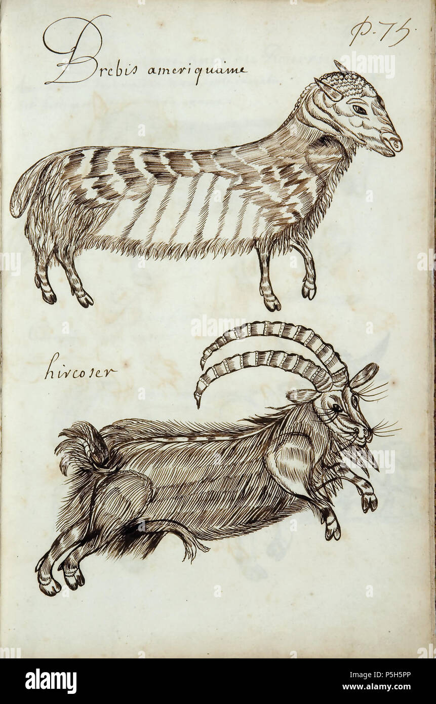 English circa 1675 hi-res stock photography and images - Alamy