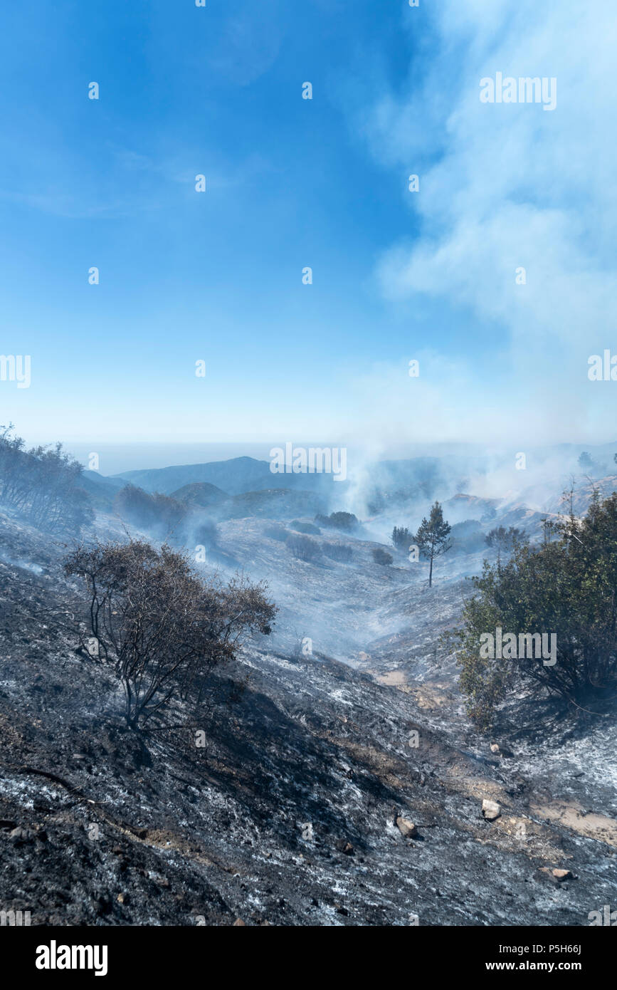 ANGELES NATIONAL FOREST, CA – MARCH 29: A controlled burn in Angeles ...