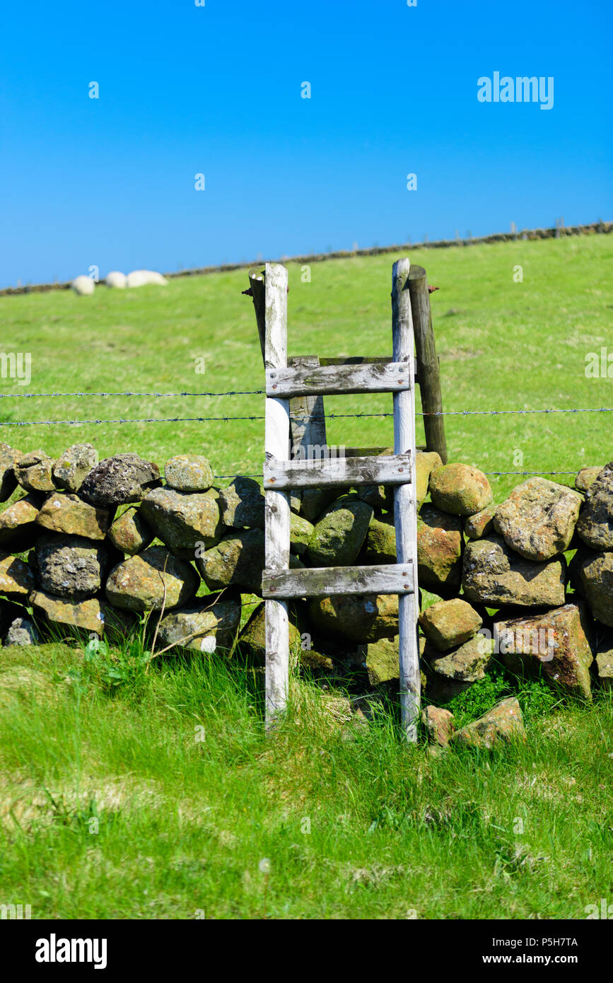 Ladder over fence hi-res stock photography and images - Alamy