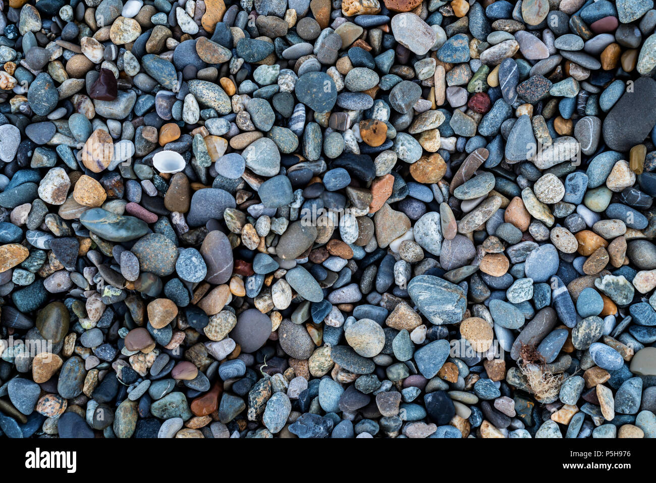 Colorful pebbles for background texture Stock Photo - Alamy