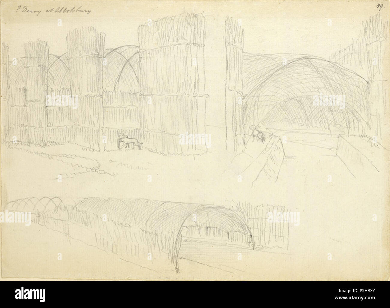 English: A decoy at Abbotsbury . the drawing shows a decoy set up at ...