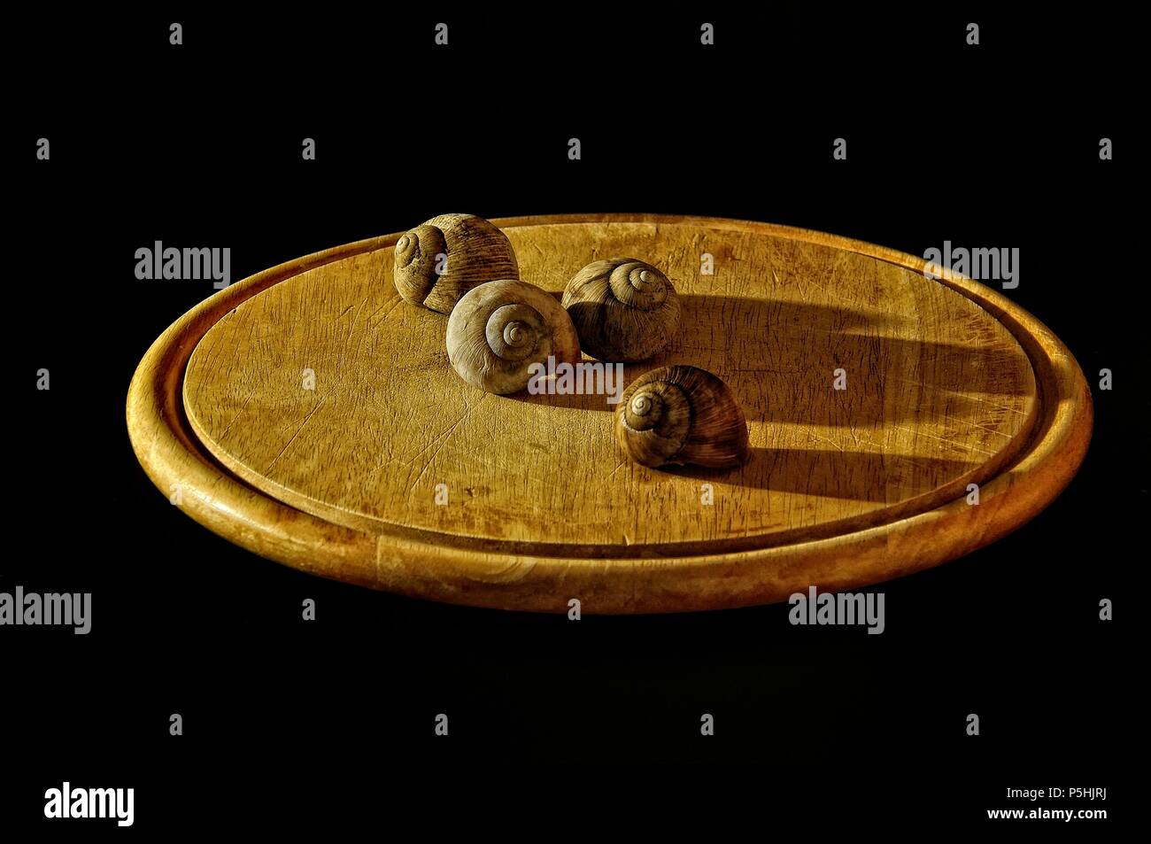 Still life of shells hi-res stock photography and images - Alamy