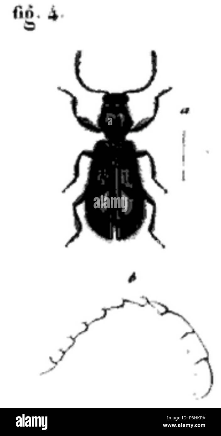 Muisca art hi-res stock photography and images - Alamy