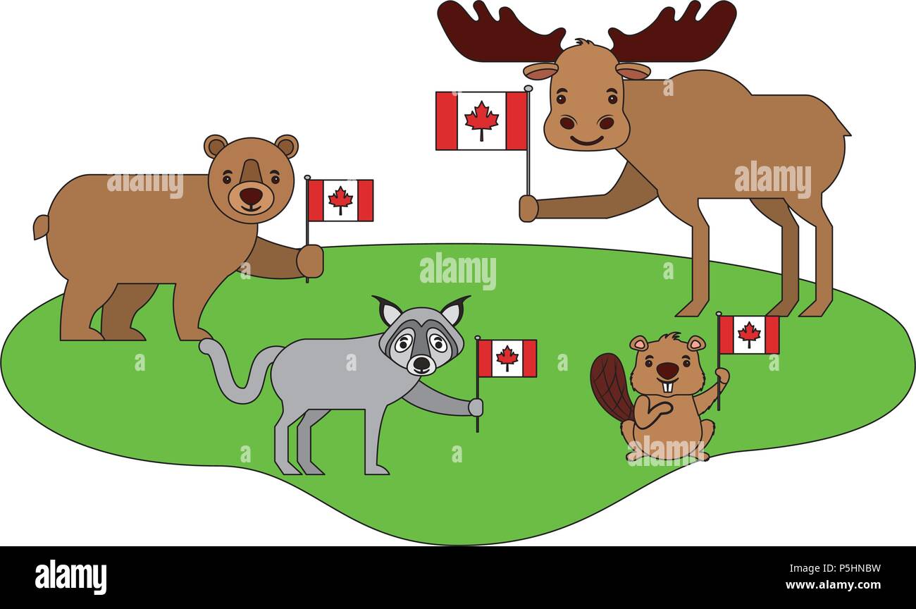 wild bear grizzly and animals with flags canadian vector illustration ...