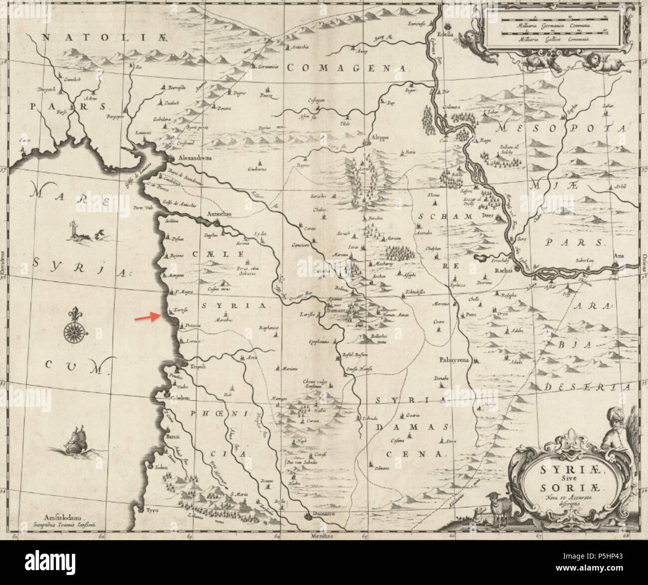 19 1664 Tortosa detail map Syriae sive Soriae by Jansson BPL 15920 ...
