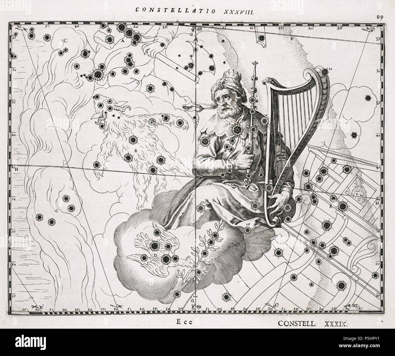 Canis major constellation hi-res stock photography and images - Alamy