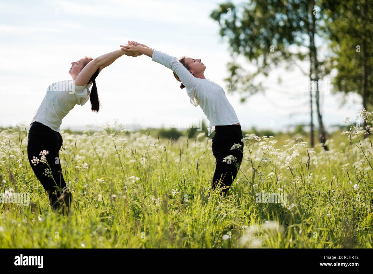Two women le doing yoga exercises, standing bending to each other at ...