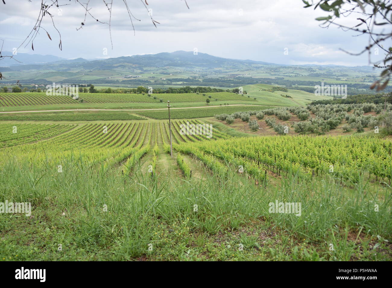 Banfi Castle Italy High Resolution Stock Photography and Images - Alamy