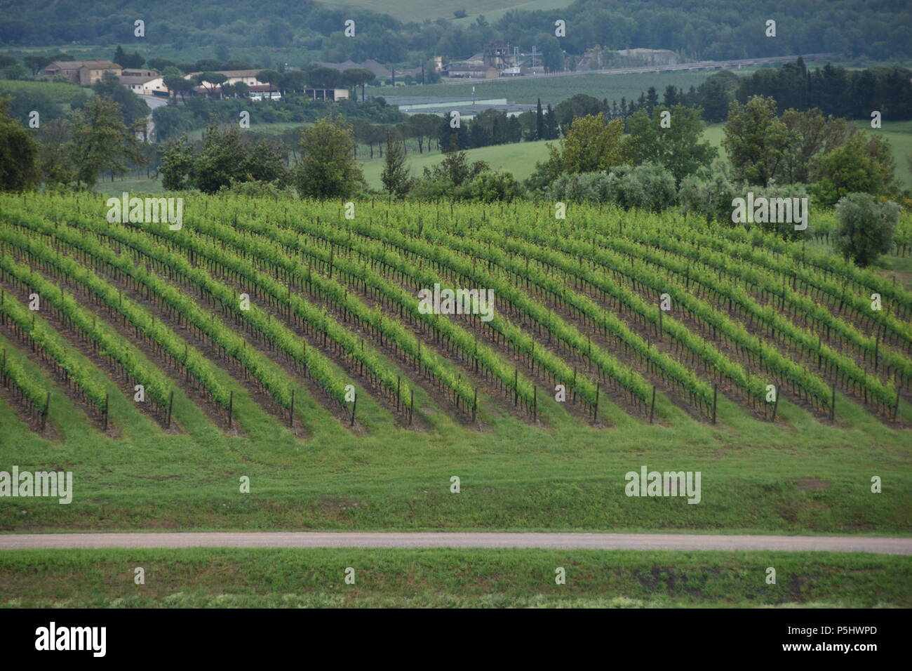 Banfi Castle Italy High Resolution Stock Photography and Images - Alamy