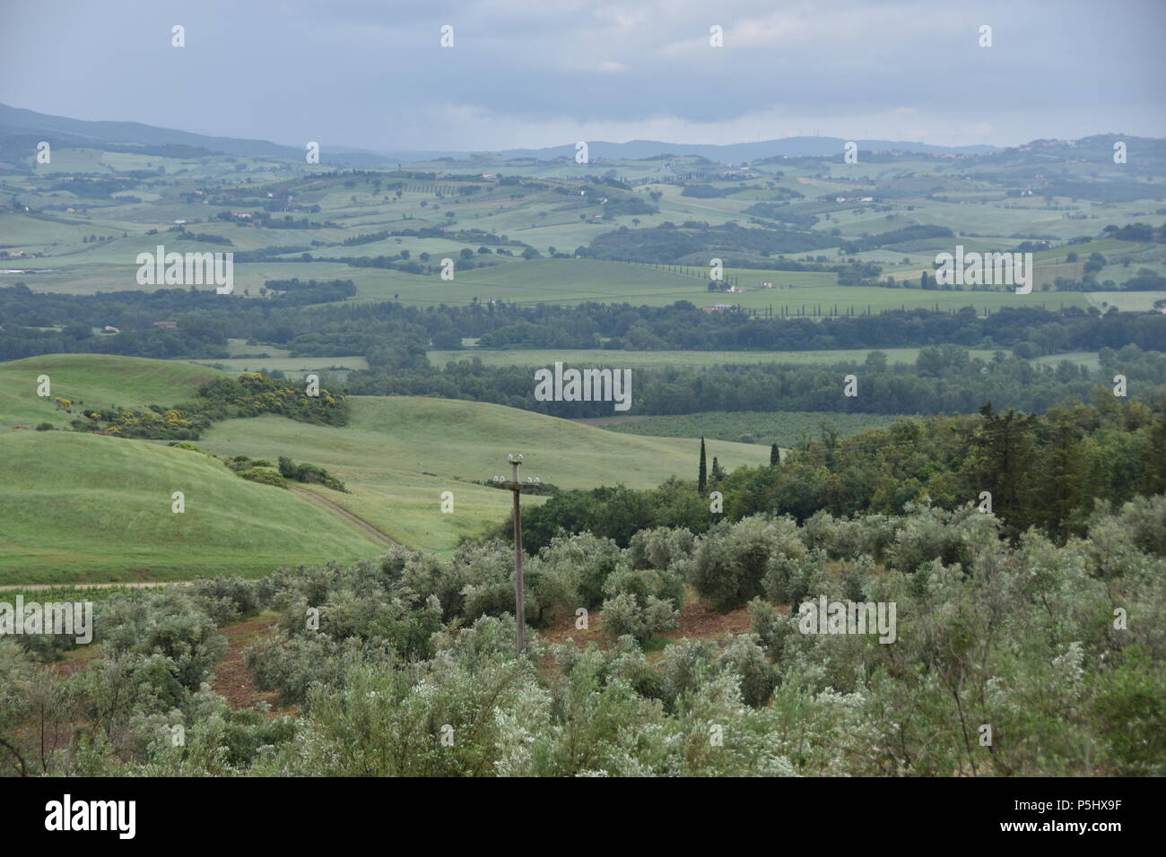 Banfi Castle, Siena, Italy Stock Photo - Alamy