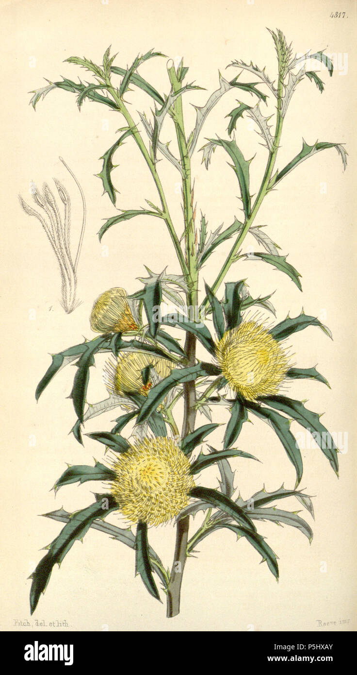 Volume 73 hi-res stock photography and images - Alamy