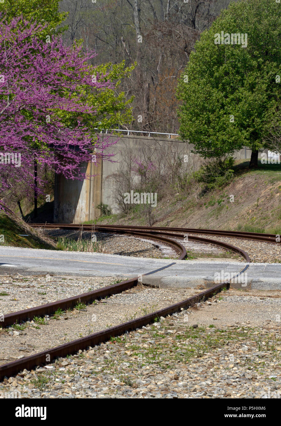 What path to take hi-res stock photography and images - Alamy