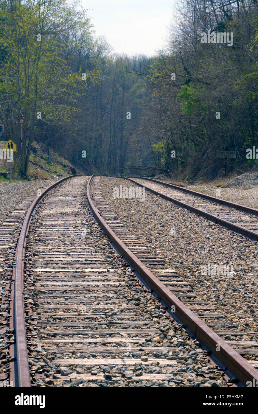 Dual train tracks leading into a deep forest and on to an unknown ...