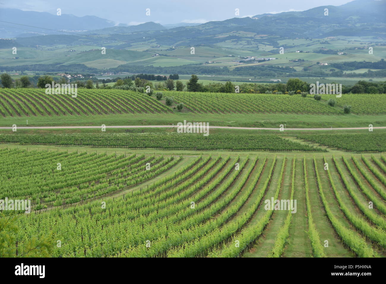 Banfi castle italy hi-res stock photography and images - Alamy