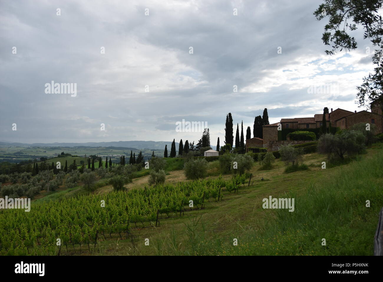 Banfi castle italy hi-res stock photography and images - Alamy