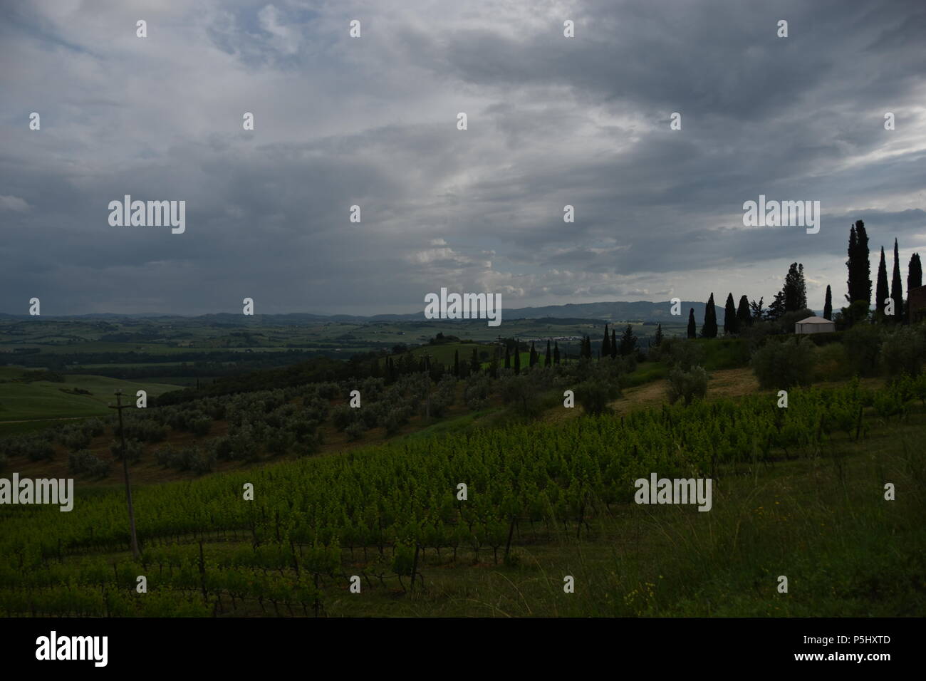 Banfi Castle, Siena, Italy Stock Photo - Alamy