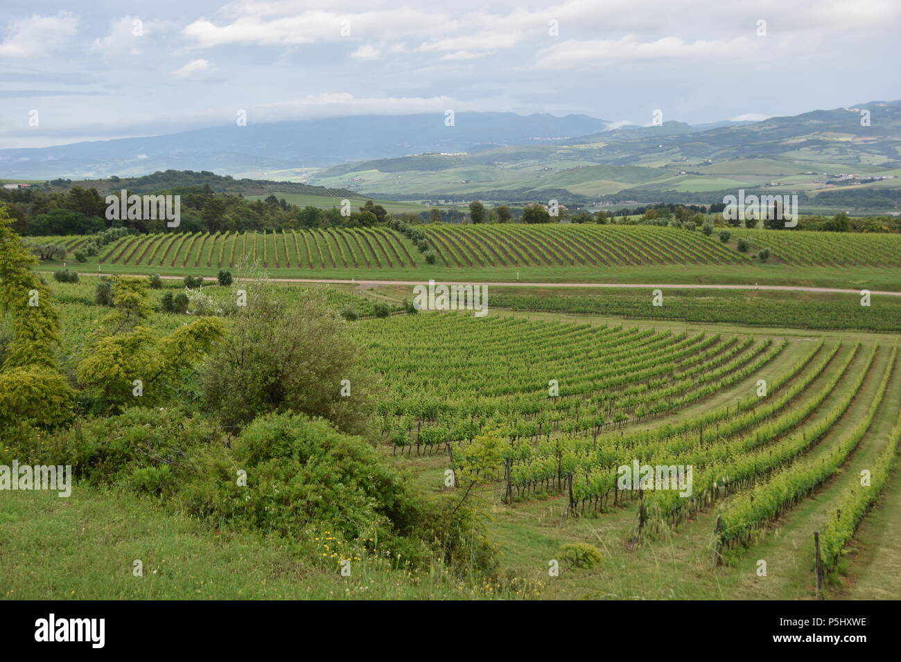 Banfi Castle Italy High Resolution Stock Photography and Images - Alamy