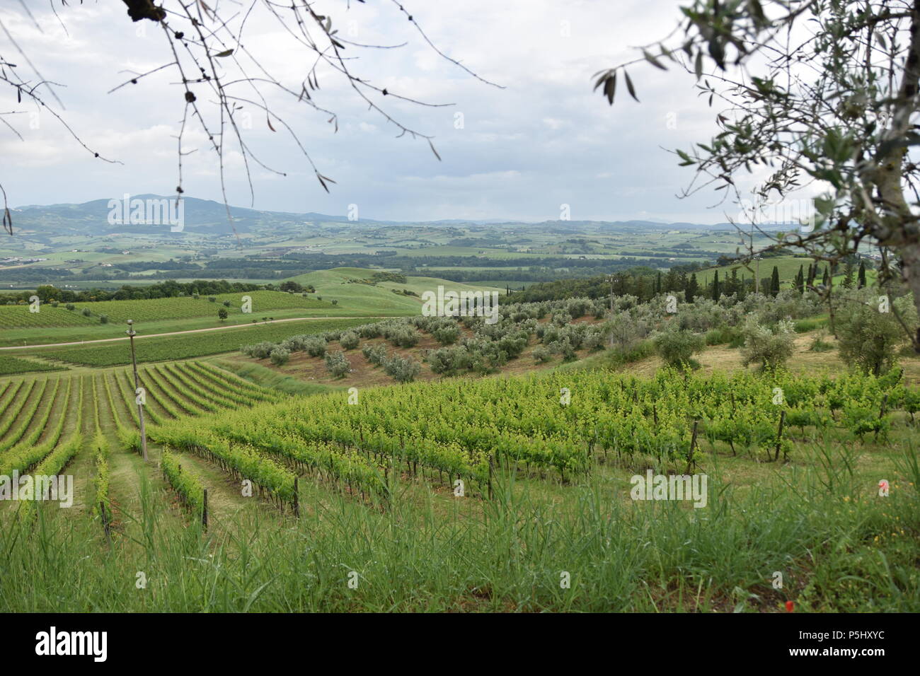 Banfi castle italy hi-res stock photography and images - Alamy