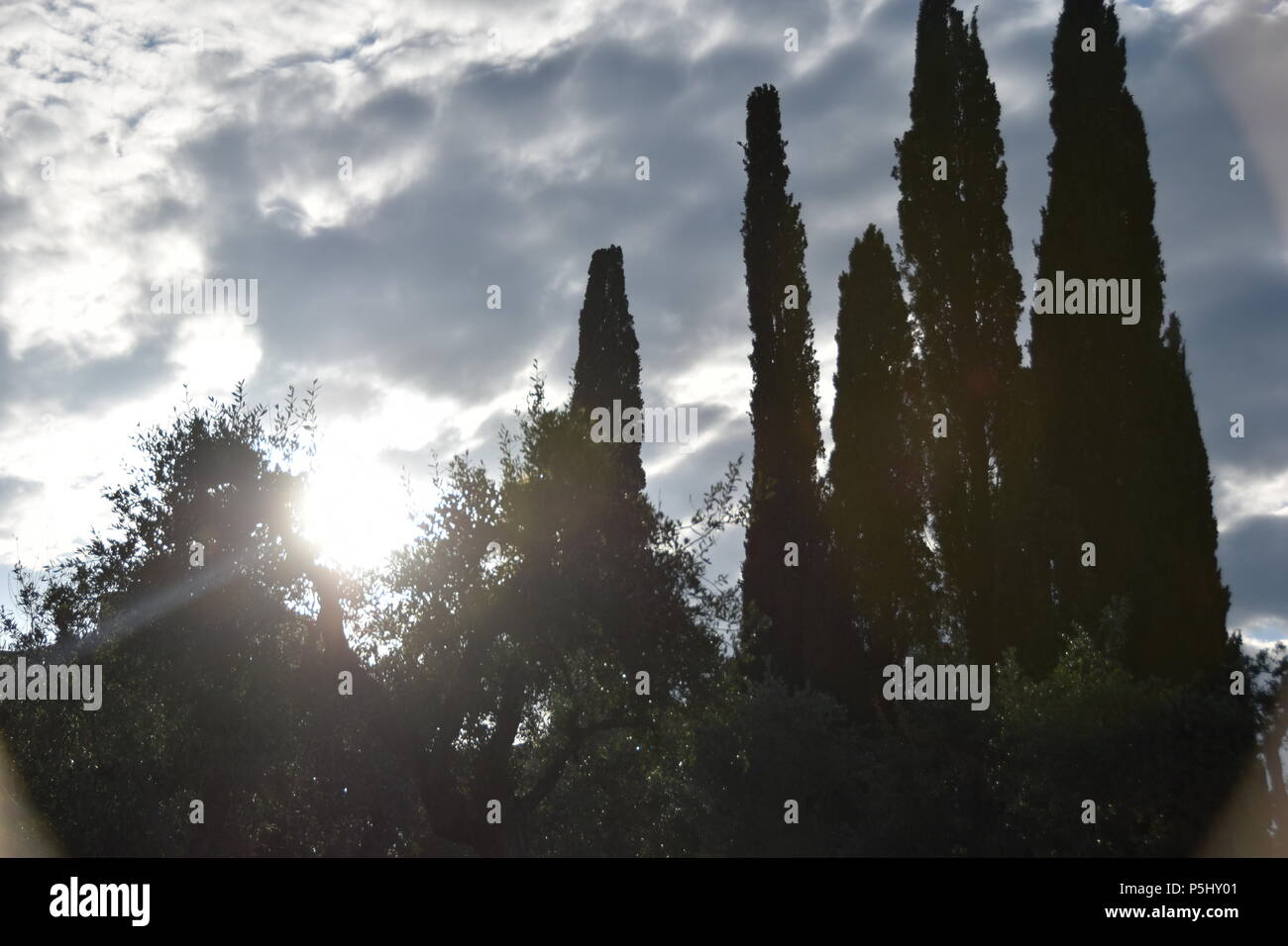 Banfi Castle Italy High Resolution Stock Photography and Images - Alamy