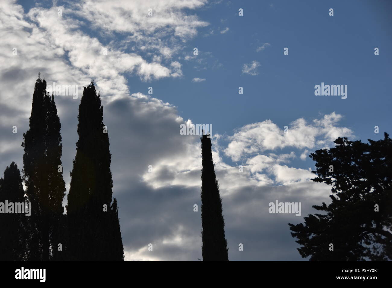 Banfi Castle, Siena, Italy Stock Photo - Alamy