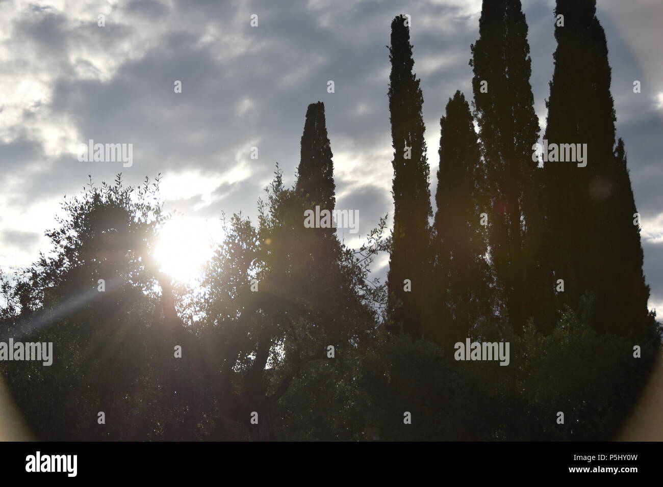 Banfi Castle, Siena, Italy Stock Photo - Alamy