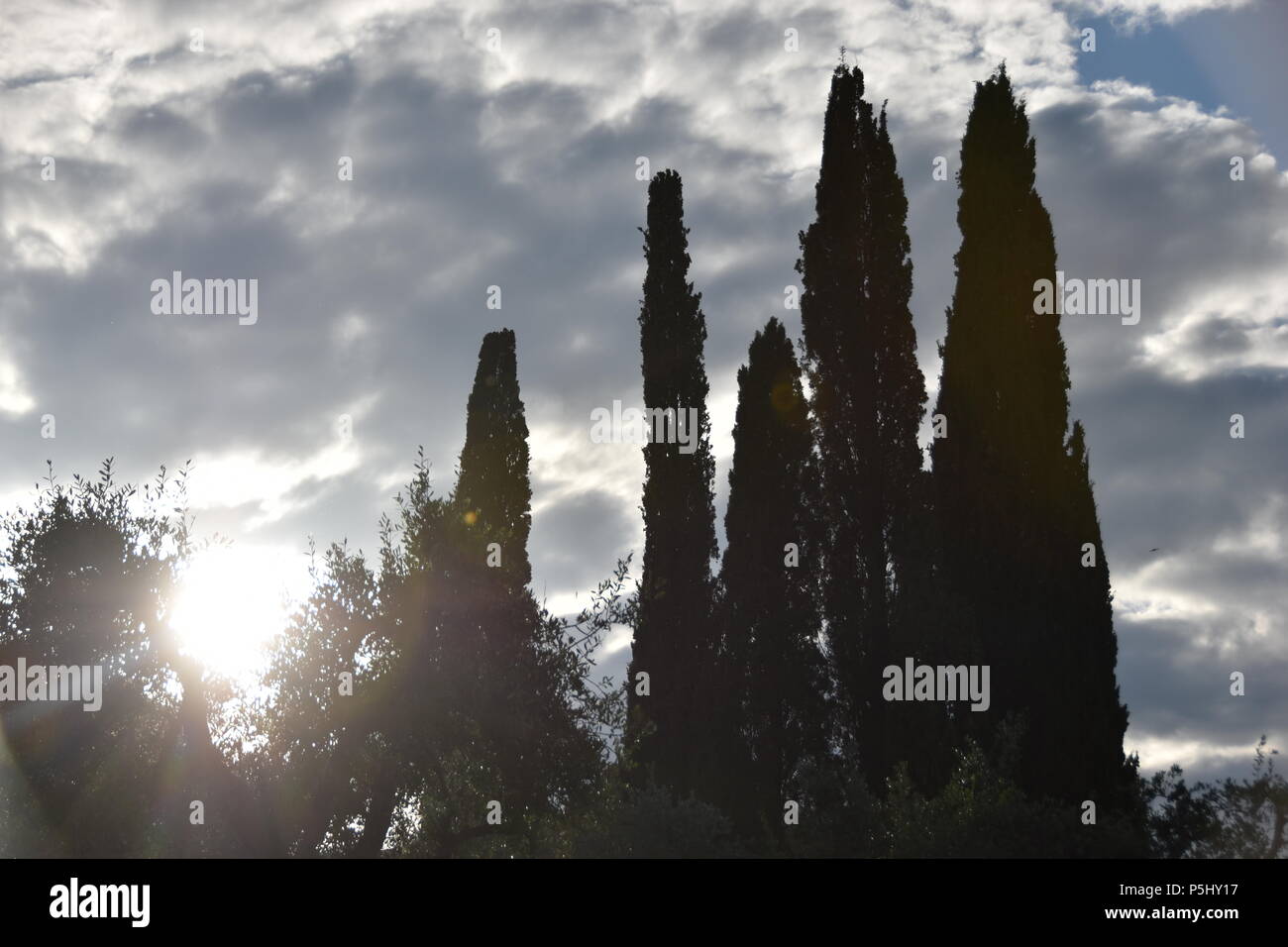 Banfi castle italy hi-res stock photography and images - Alamy