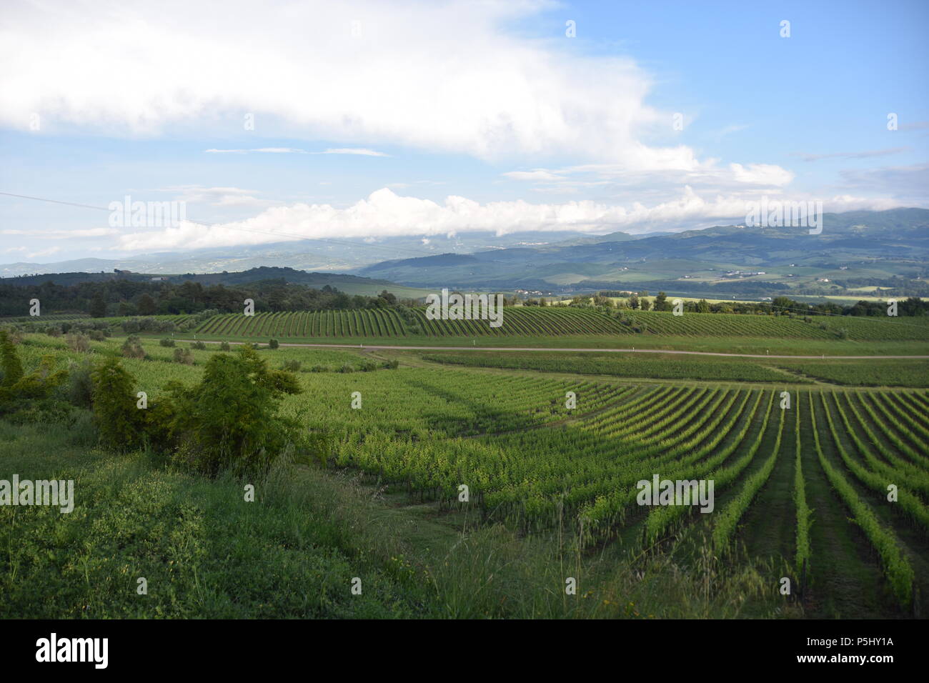 Banfi Castle Italy High Resolution Stock Photography and Images - Alamy