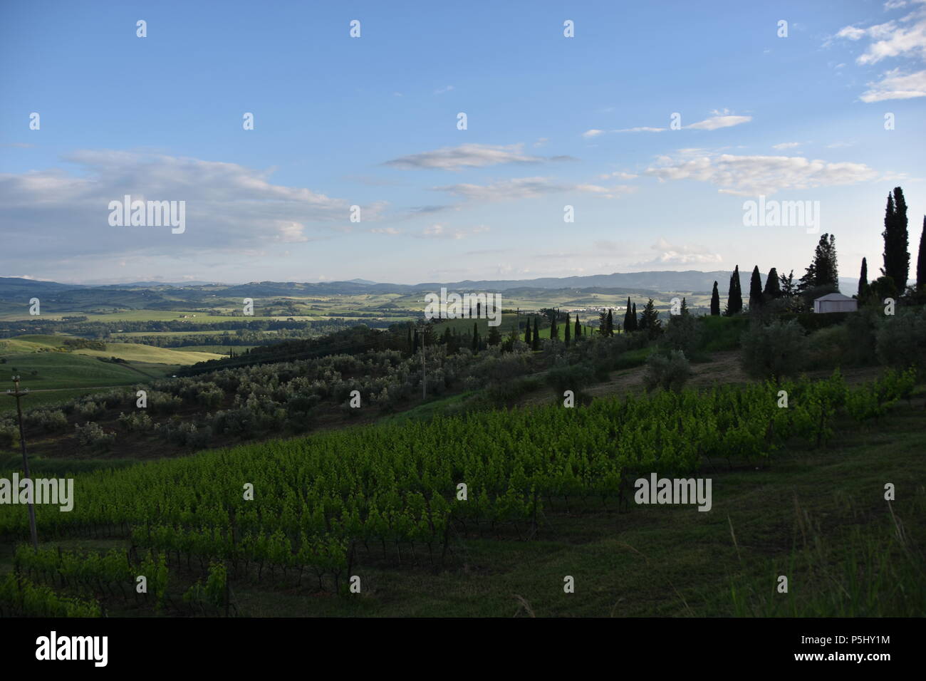 Banfi Castle, Siena, Italy Stock Photo - Alamy