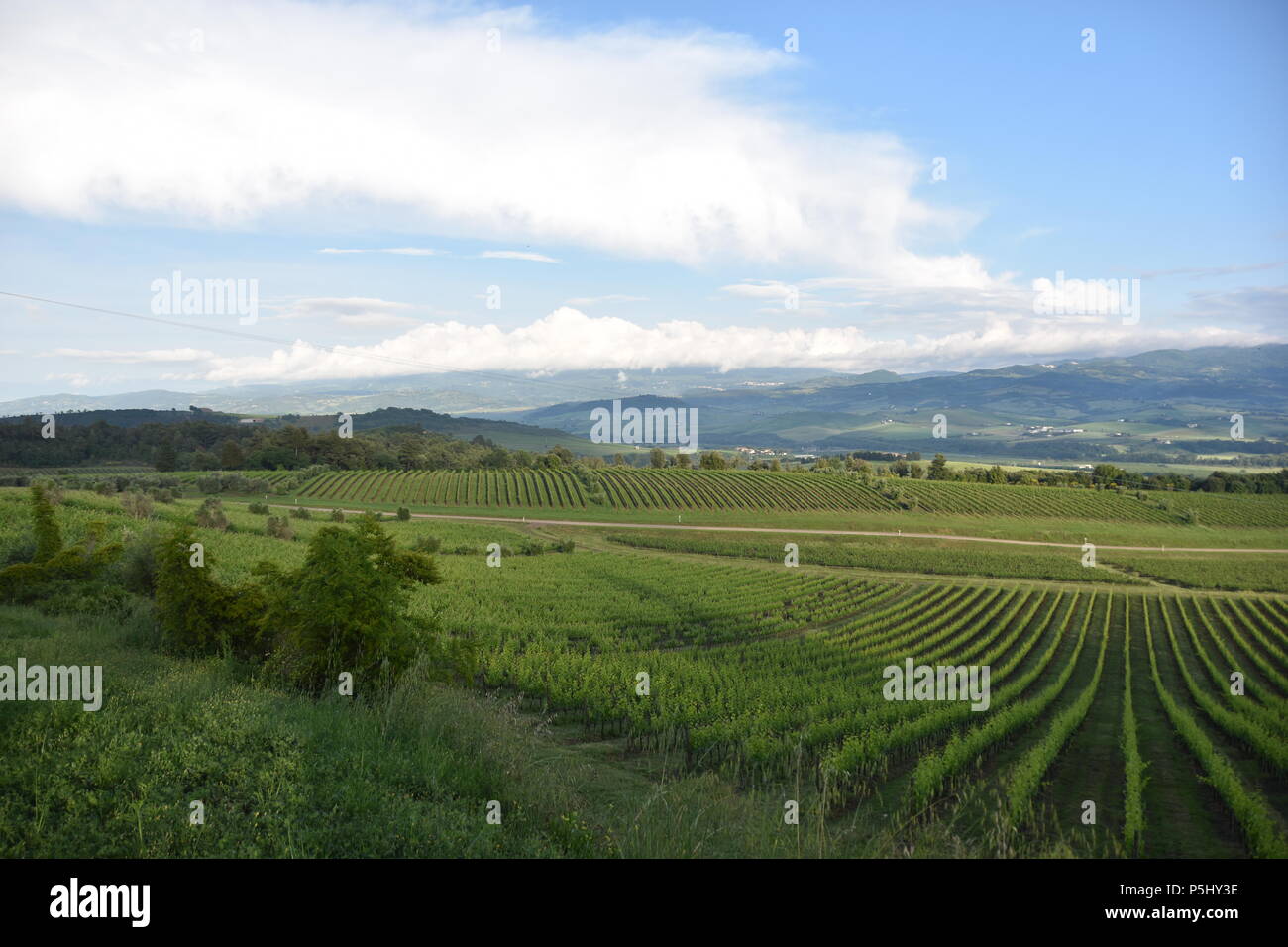 Banfi Castle Italy High Resolution Stock Photography and Images - Alamy