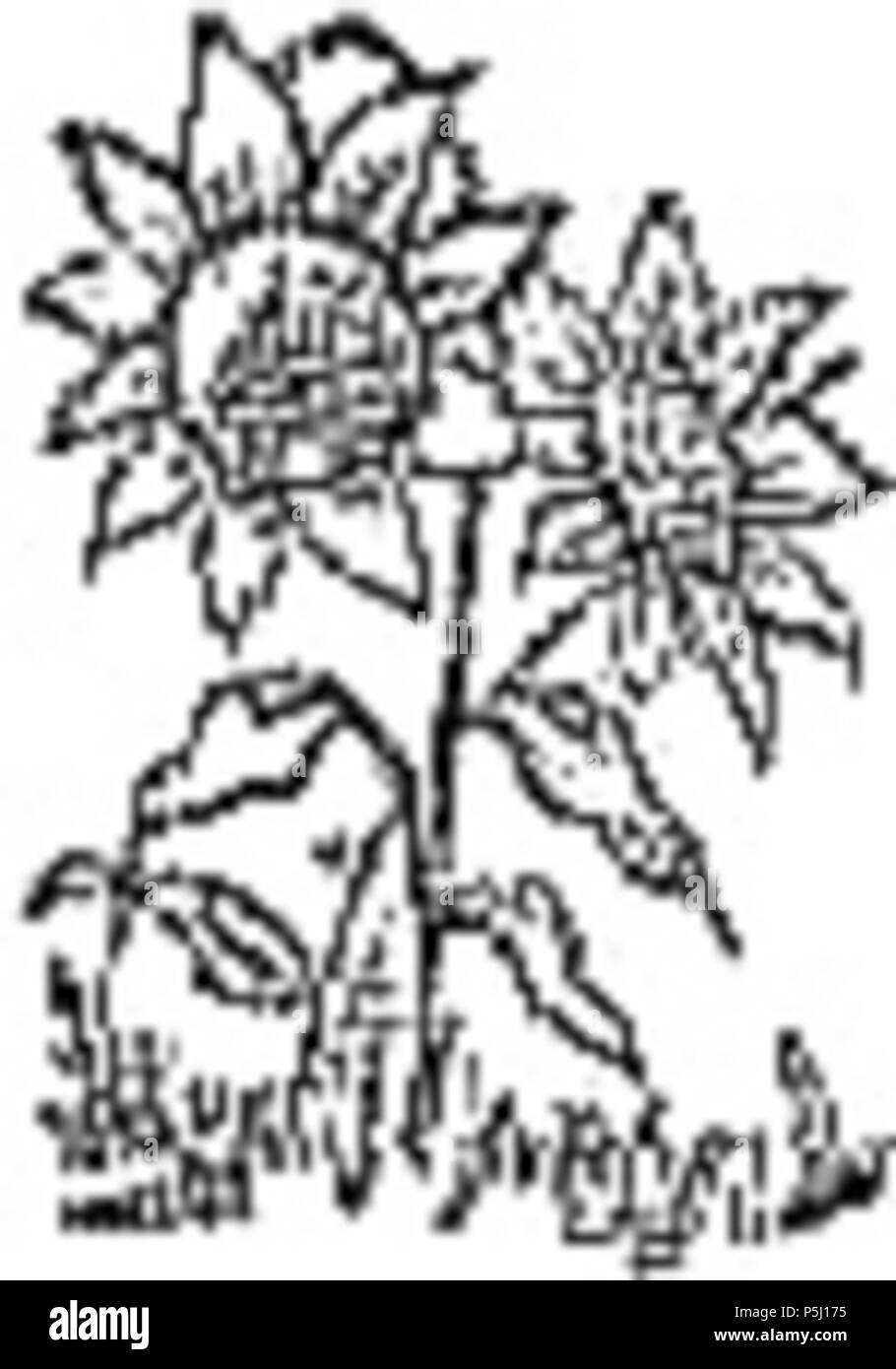 31 10 3 Black and White Stock Photos & Images - Alamy