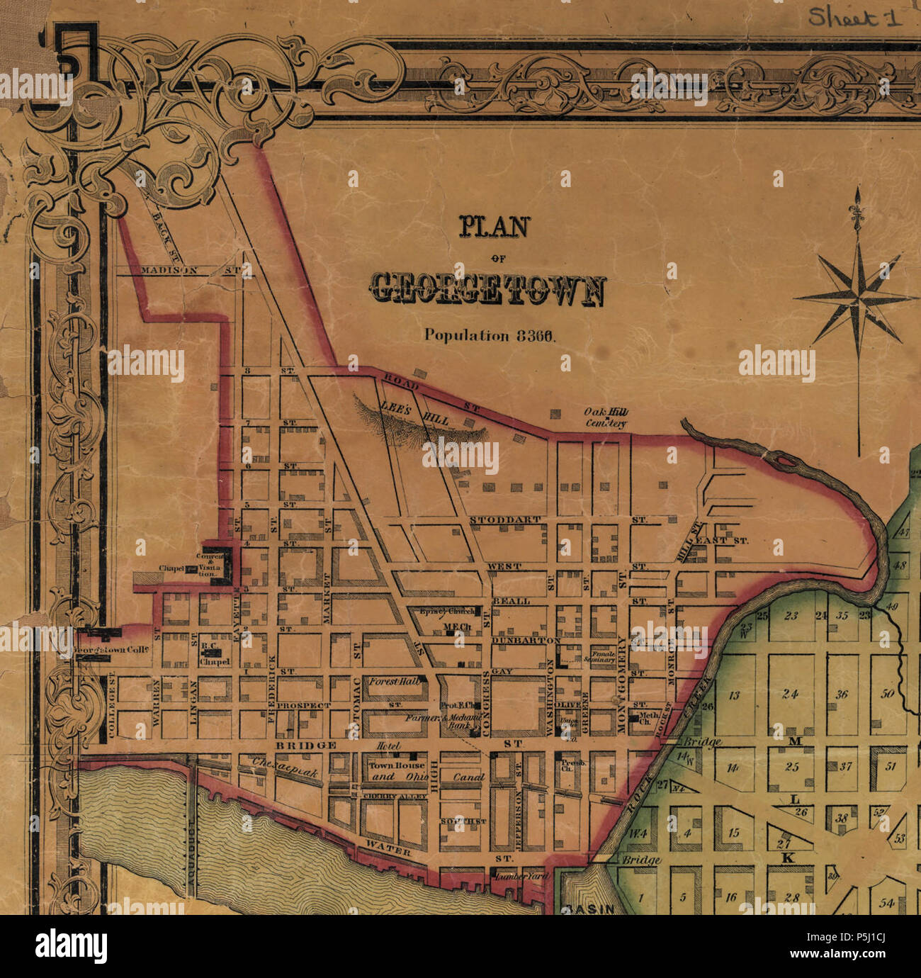 Georgetown Tourist Map