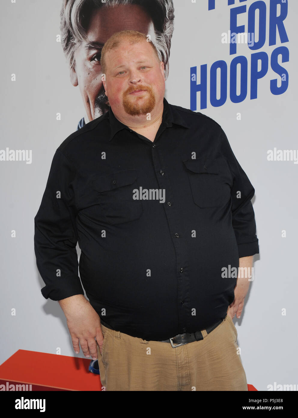 New York, NY, USA. 26th June, 2018. Joel Marsh Garland attends the ...
